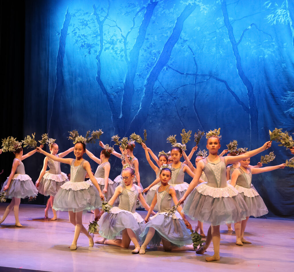 Perform With Us - Idaho Ballet Theatre